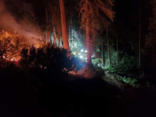 Update on Ridge Incident